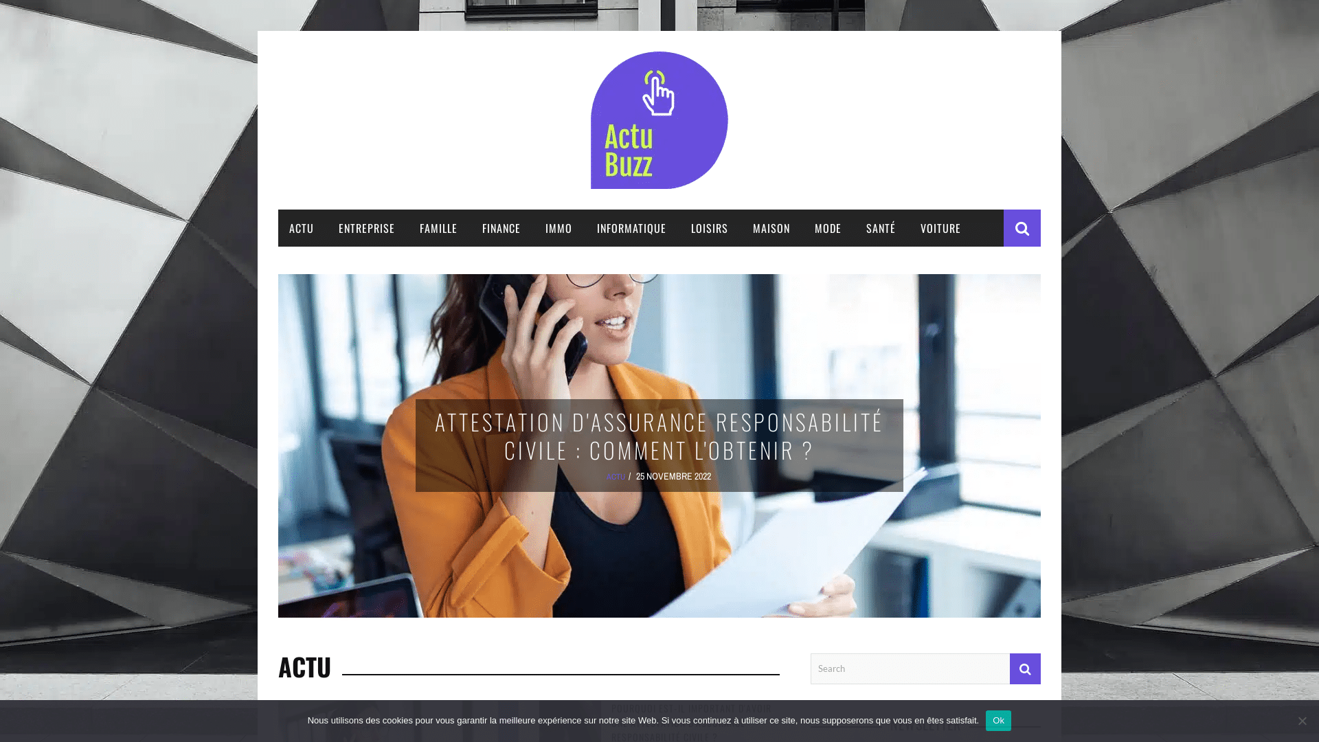 actu-buzz.net - LP Transaction